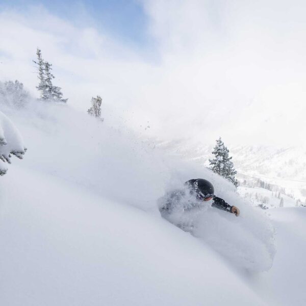 Snowbird Ski Pass & Lift Tickets| Utah Multi Resort Ski Pass