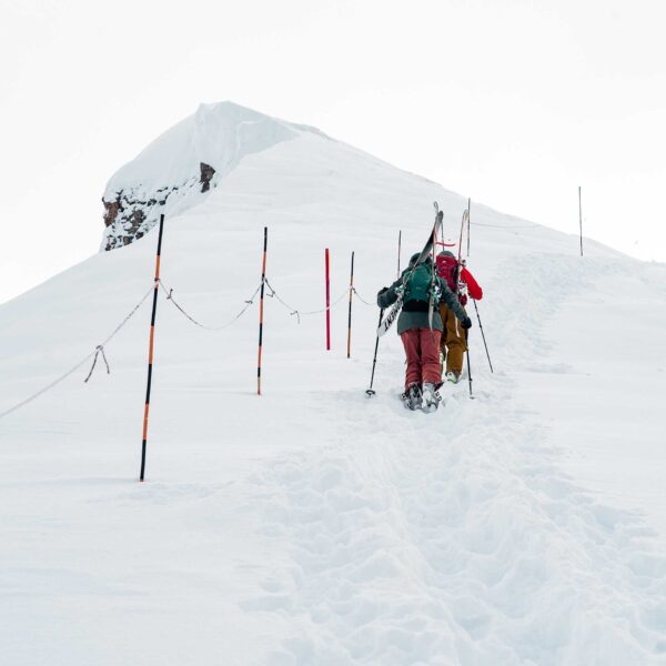 Grand Targhee Ski Pass & Lift Tickets | Mountain Collective