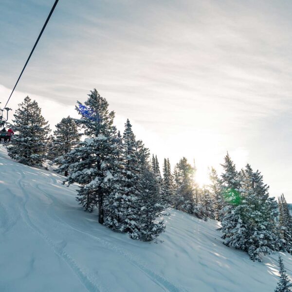 Grand Targhee Ski Pass & Lift Tickets | Mountain Collective