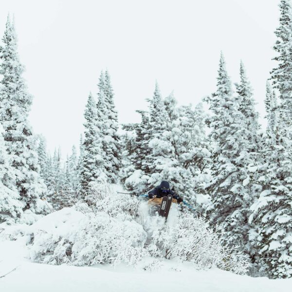 Grand Targhee Ski Pass & Lift Tickets | Mountain Collective